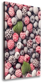 Wallmuralia Vertikální Foto obraz na plátně Mražené ovoce 50x100