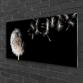 Obraz na skle Pampeliška Květ Kapky 100x50 cm