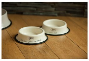 Ocelová miska pro kočku Adore – Premier Housewares