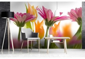 DIMEX | Samolepicí vliesová fototapeta na zeď Jarní květiny MA-5-0142 | 375 x 250 cm | zelená, bílá, žlutá, růžová