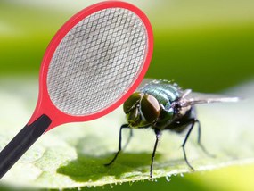Verk Group Elektrický lapač much sáček na tlapky komáři můry mouchy