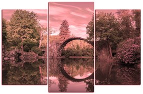 Obraz na plátně - Most v parku v Kromlau 1246VC (105x70 cm)