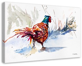 Gario Obraz na plátně Akvarelový kohout - Dorota Martyńska Rozměry: 60 x 40 cm