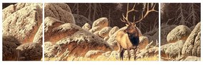 Obraz jelena (170x50 cm), 40 dalších rozměrů