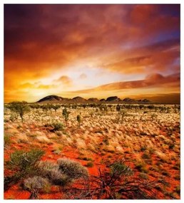 DIMEX | Vliesová fototapeta na zeď Austrálie MS-3-0050 | 225 x 250 cm | oranžová, žlutá, hnědá, zelená