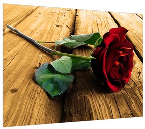 Obraz růže (70x50 cm), 40 dalších rozměrů
