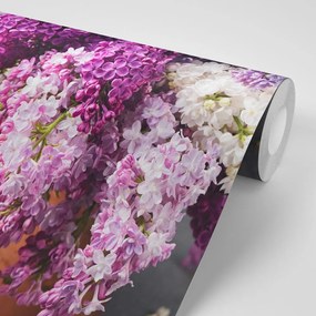 Samolepící fototapeta šeřík v květináči