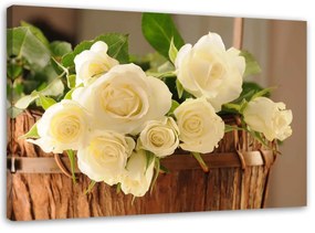 Obraz na plátně Bílé růže Květiny Příroda - 120x80 cm