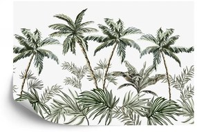 Fototapeta Palmy A Tropické Rostliny Samolepící tapety 104x70.5