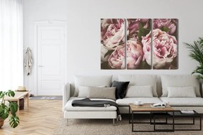 Vícedílný obraz Jemné Vintage Květy Pivoňky Nedostatek Nedostatek Plátno Canvas 150x100