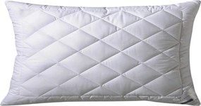 XXXLutz POLŠTÁŘ POD HLAVU, 40/80 cm Billerbeck - Polštáře pod hlavu - 003279048301