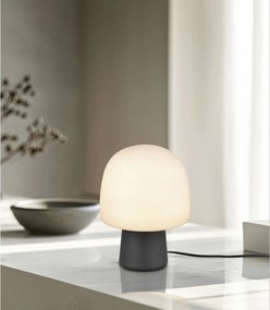 Černo-bílá stolní lampa se skleněným stínidlem (výška 27 cm) Steen – Trio