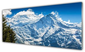 akrylový obraz Hora Strom Krajina 125x50 cm