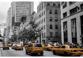 Cedule New York Taxi