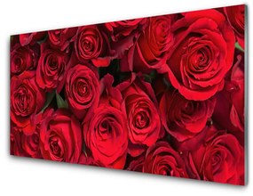 Obraz na skle Červené Růže Květiny Příroda 125x50 cm