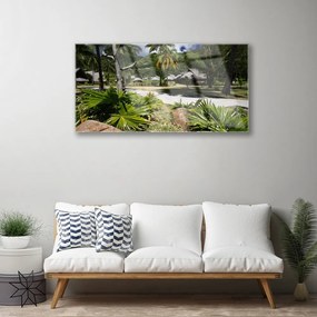 Obraz na skle Listy Palmy Stromy Příroda 100x50 cm