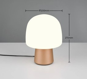 Stolní lampa v bílo-bronzové barvě se skleněným stínidlem (výška 27 cm) Steen – Trio