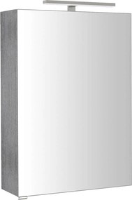 Sapho Riwa - Zrcadlová skříňka s LED osvětlením 50x70x17 cm, dub stříbrný RIW050-0011