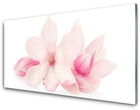 Obraz na skle Květiny Plátky Rostlina Příroda 120x60 cm