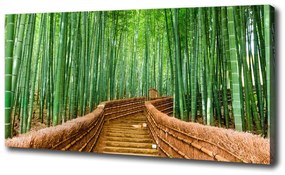 Wallmuralia Moderní fotoobraz canvas na rámu Bambusový les 100x50