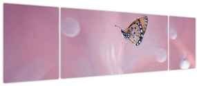 Obraz - Motýlek (170x50 cm)