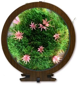 Li-Go "Slaměnky v mechu" lampa 20x22 cm