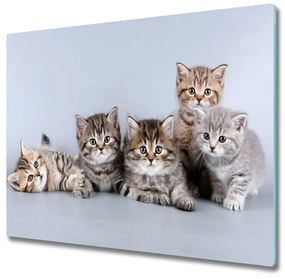 Skleněná krájecí deska Pět koček 60x52 cm