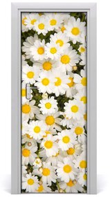 Fototapeta samolepící květy sedmikrásky 85x205 cm