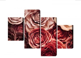 Vícedílný obraz Barevné Květiny Zblízka 3D Nedostatek Nedostatek Plátno Canvas 80x50