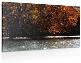 Obraz odraz listí v jezeře Varianta: 60x40