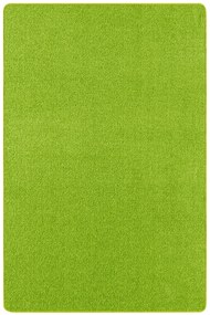 Hanse Home Collection koberce Kusový koberec Nasty 101149 Grün - 160x240 cm