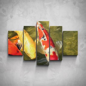 5-dílný obraz - Barevné ryby - PopyDesign