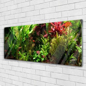 akrylový obraz Rostlina Květiny Příroda 125x50 cm