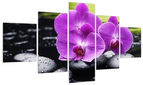Obraz orchidejí (125x70 cm)