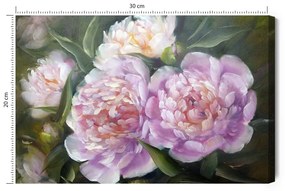 Obraz Pivoňky Růže A Listy Jak Malované Nedostatek Nedostatek Přírodní plátno 100x70