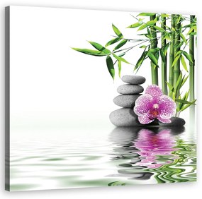 Obraz na plátně, Vodní zahrada Zen - 30x30 cm