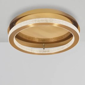 Stropní svítidlo LED se stmíváním Fiore 60 zlaté