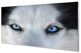 Obraz na skle wolf Eyes 125x50 cm