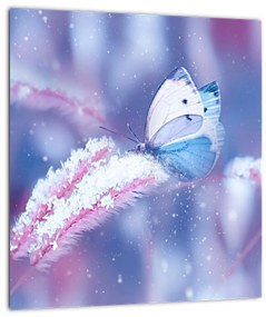 Obraz - Motýli v zimě (30x30 cm)