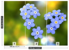 Fototapeta Forget-me-nots Srdce 104x70