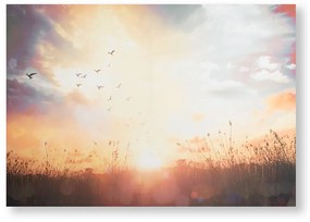 Tištěný obraz Západ slunce 105890, Serene Sunset Meadow, Wall Art, Graham & Brown