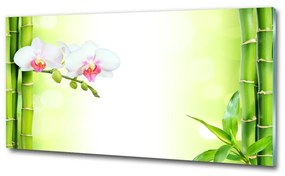 Wallmuralia Fotoobraz na skle Orchidej a bambus 100x50