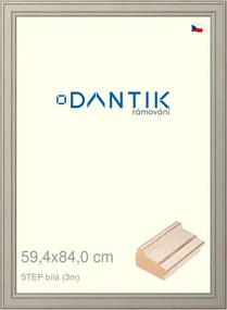 DANTIK rámeček 59,4x84 | STEP bílá (Plexi Čiré)