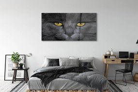 akrylový obraz Černá kočka 140x70 cm