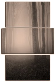 Obraz na plátně - Mlha v lese - obdélník 7182FC (90x60 cm)