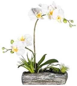 Gasper Phalaenopsis 40 cm (vč.polyresin.misky)