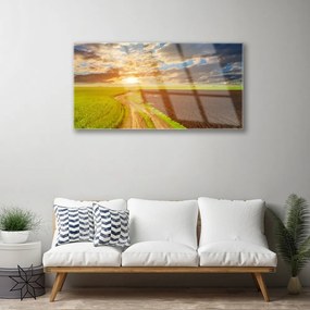 akrylový obraz Pole Nebe Slunce Příroda 100x50 cm