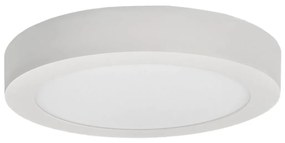 Greenlux LED Stropní svítidlo FENIX LED/18W/230V 3800K pr. 22,5 cm GXDW250