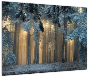 Skleněný obraz zasněženého lesa (70x50 cm)