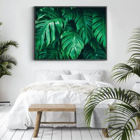 DecoKing - Nástěnný plakát - Monstera